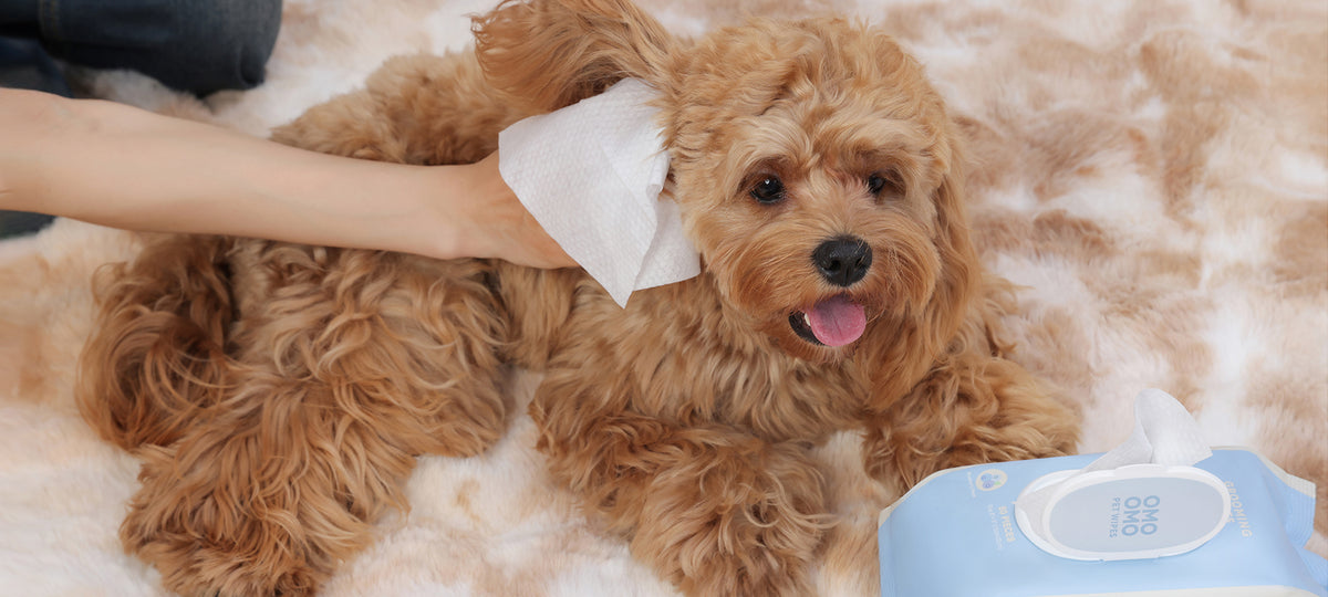 Natural, Pet-Safe & Plant-Based Pet Products | Omo Omo® – omo omo