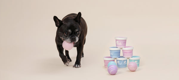 Natural, Pet-Safe & Plant-Based Pet Products | Omo Omo® – omo omo